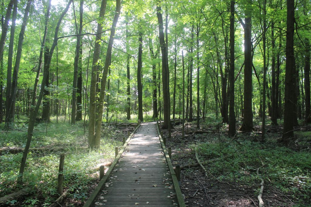 BG Park and Rec Foundation seeks photo submissions for first wall ...