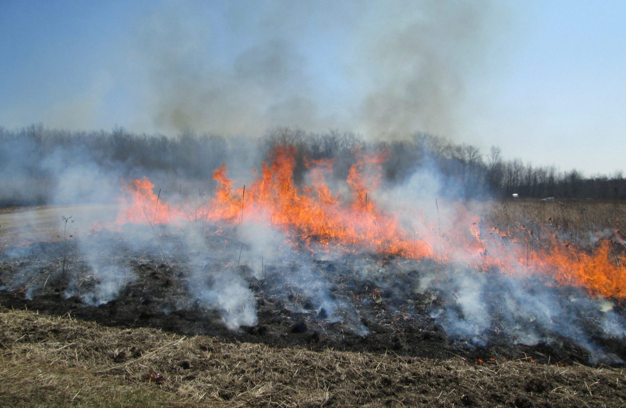 Wood County Park District to conduct prescribed fires this spring – BG ...