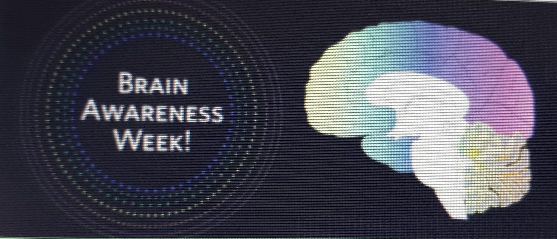 Brain Health Fair offered through Wood County Committee on Aging – BG ...