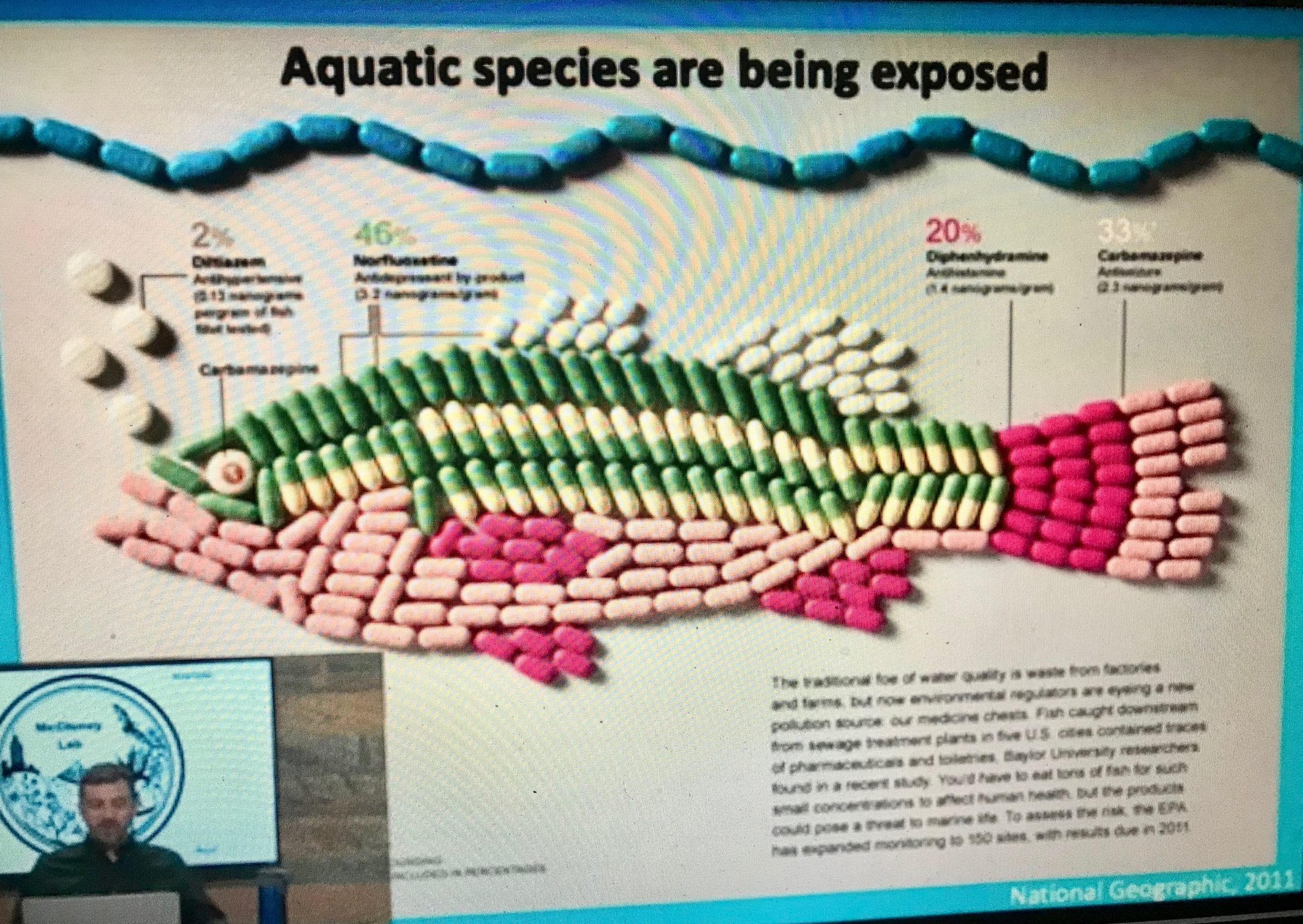 Researchers dip into impact of drugs in our water during Science Cafe ...