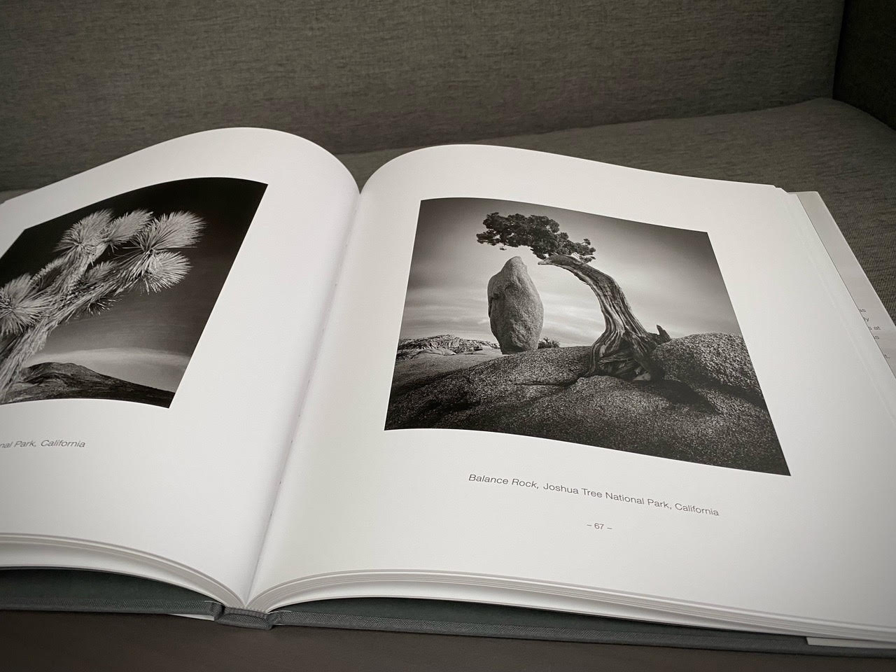 Photographer Jan Bell puts his luminous visions of nature into a book ...