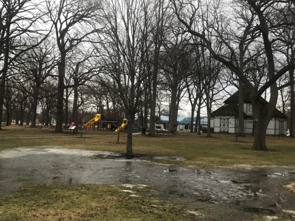 BG Urban Forestry Division to prune, remove hazardous trees in City ...