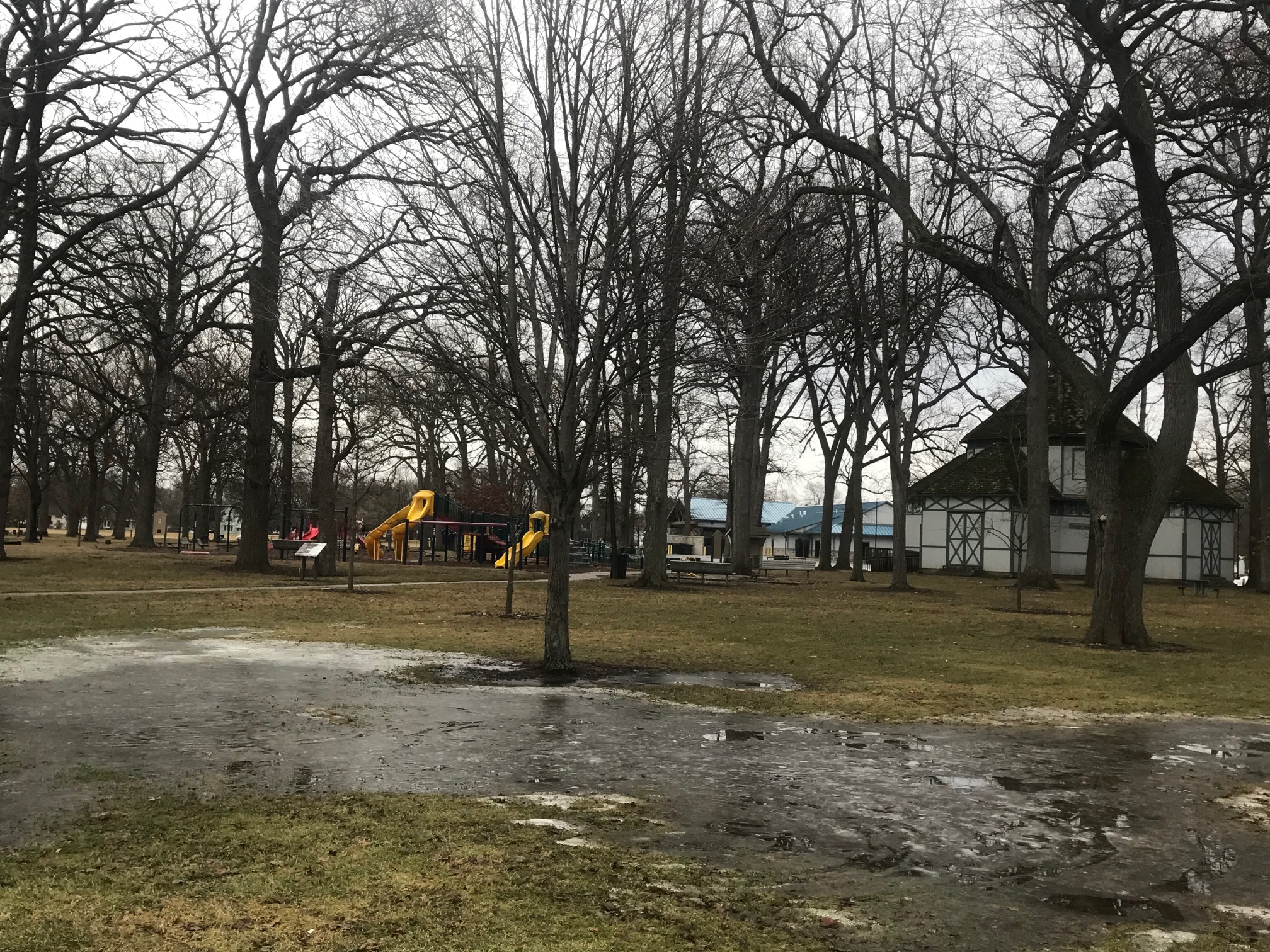 BG Urban Forestry Division to prune, remove hazardous trees in City ...