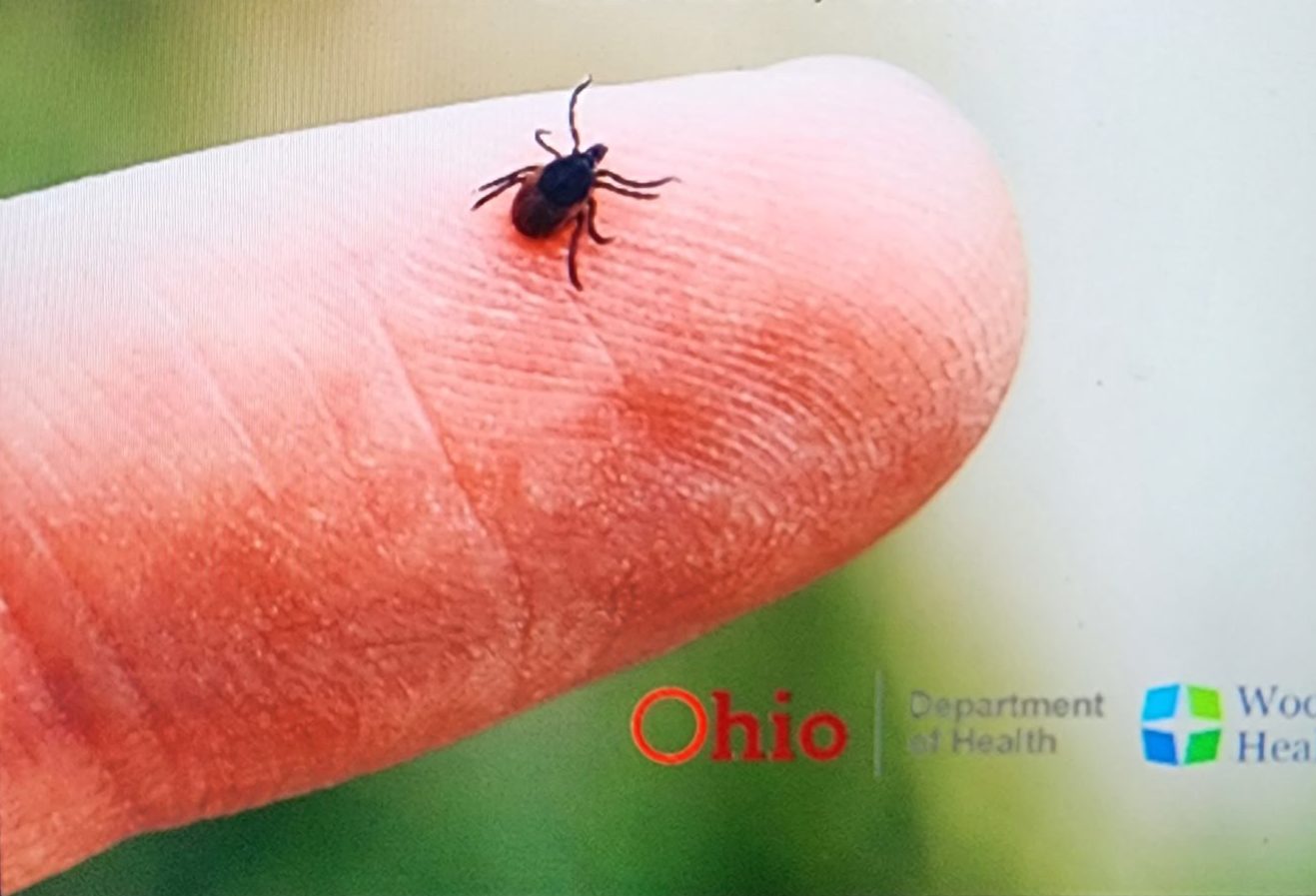 Ticked off – Learn how to avoid ticks while enjoying local parks – BG ...