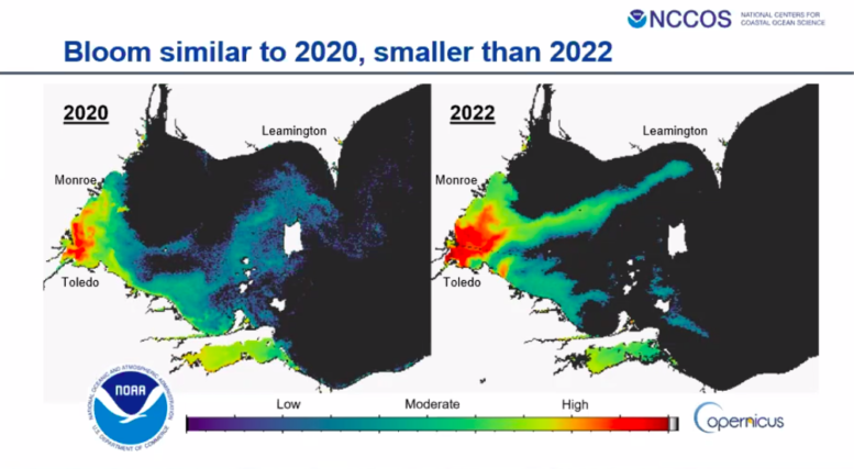 Harmful algal bloom expected to be less severe, but a lot depends on ...