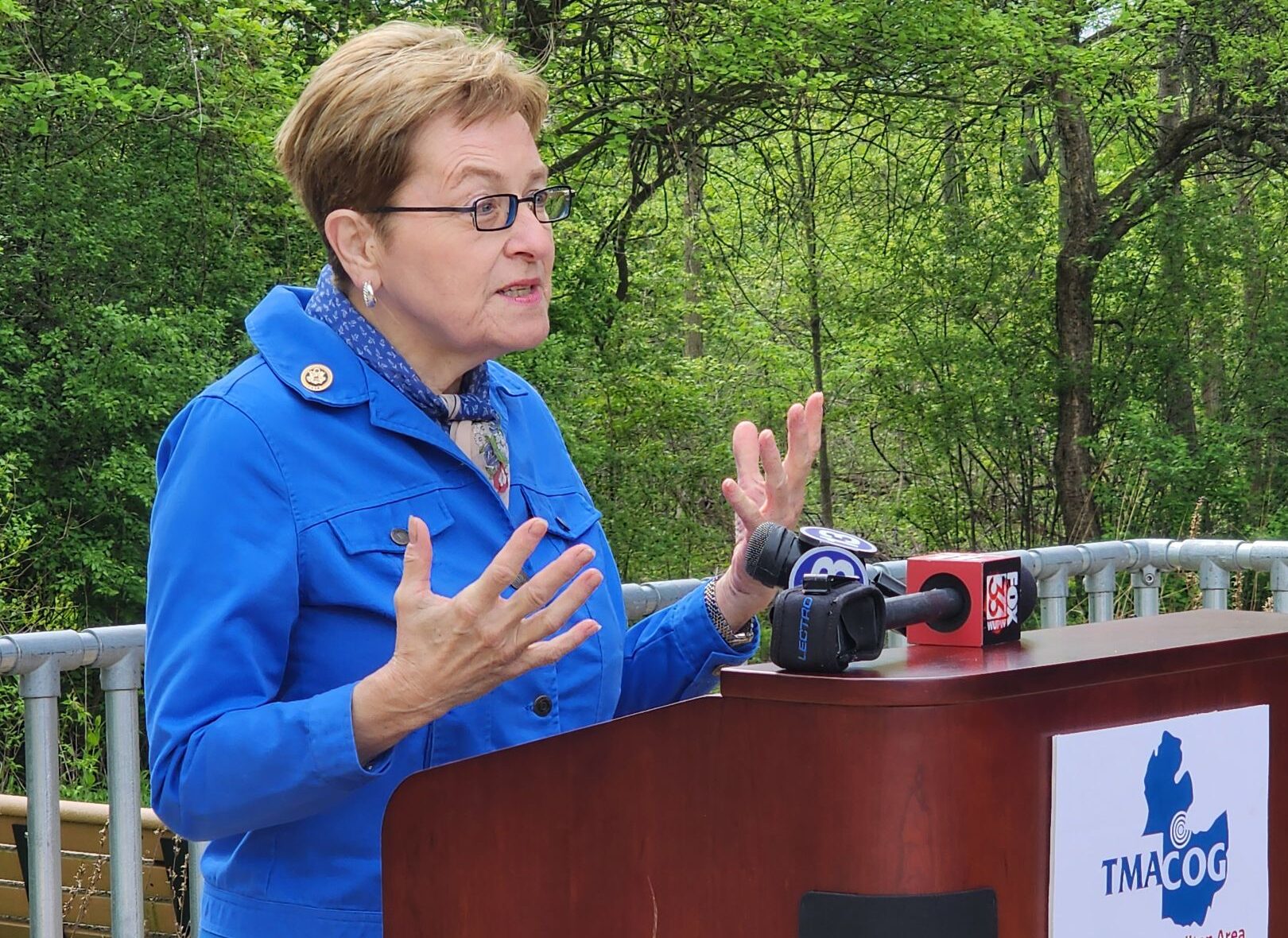Bike/pedestrian bridge between Wood and Lucas counties gets design ...