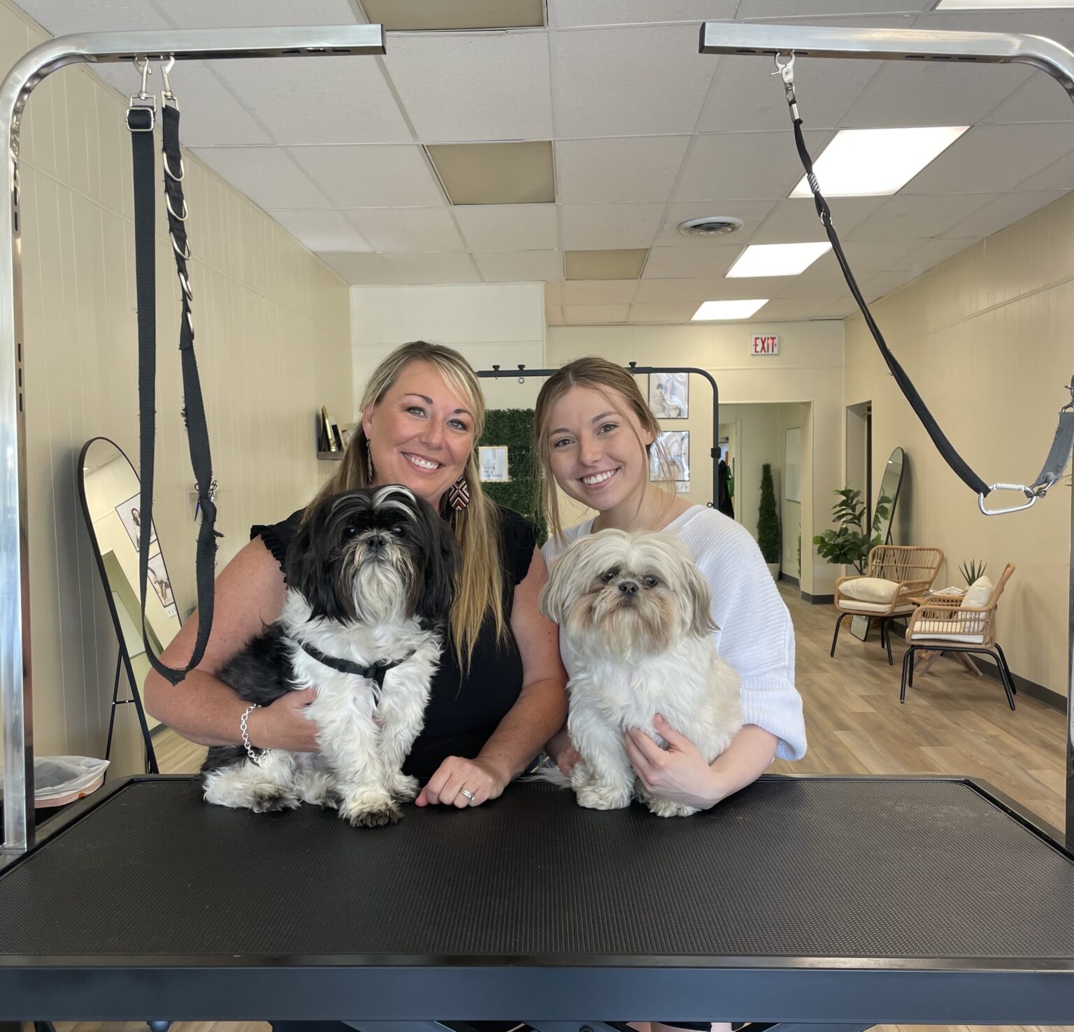 Paws-itively Thriving: Olivers & Max dog grooming finds new home on ...