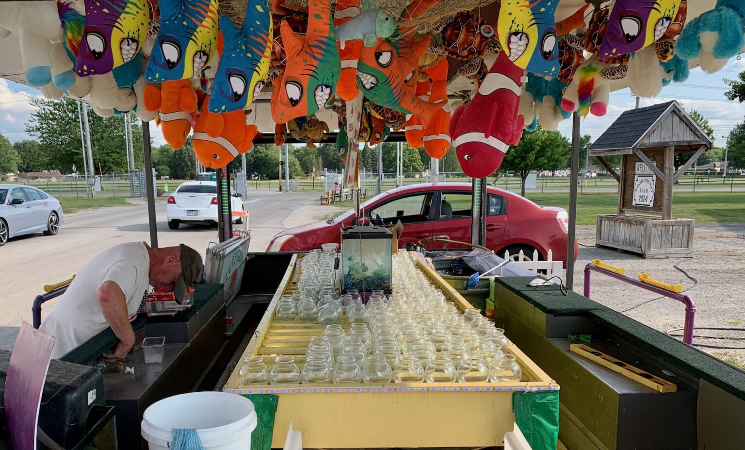 Fairgoers encouraged to “Be a Star” at 2024 Wood County Fair – BG ...