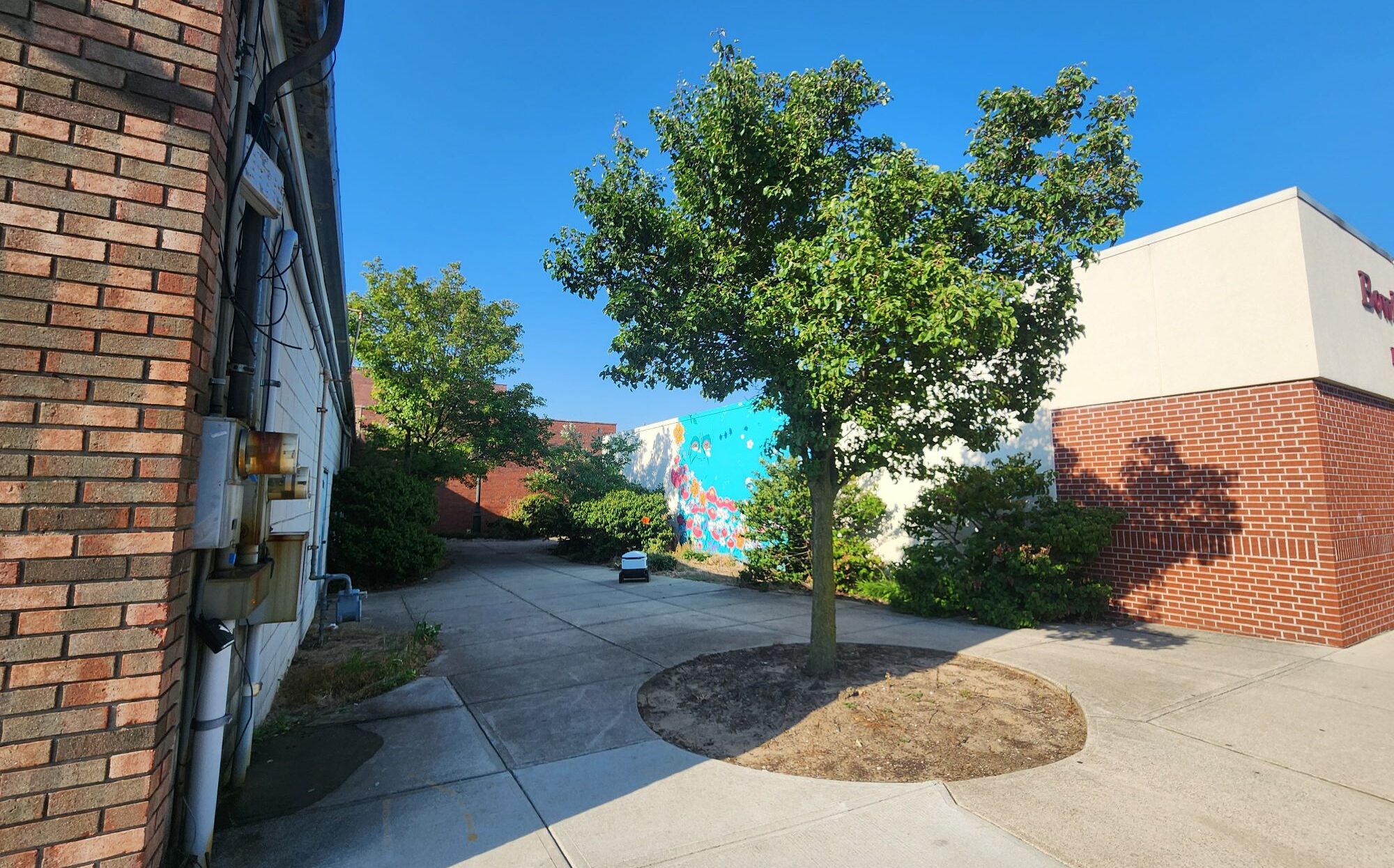 Making beautiful connections: BG to transform downtown alleyways with ...