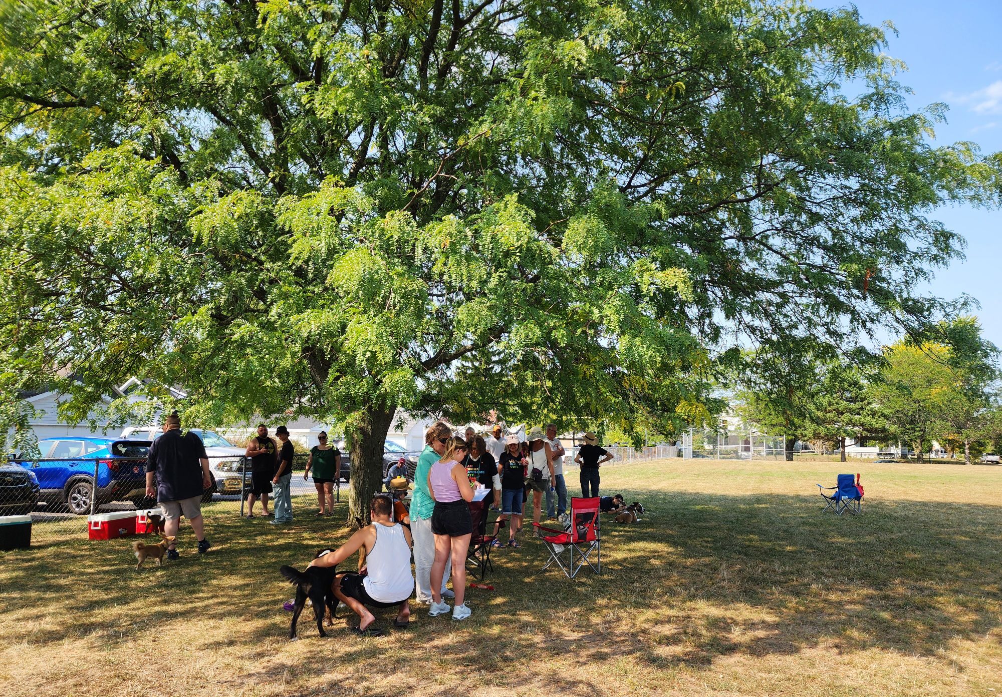 Unleashed action: Canines get practice run at BG’s dog park site in ...