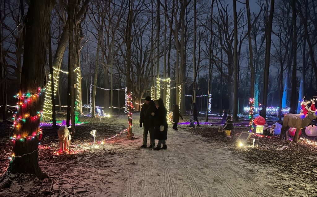 Wildlife gets its chance to shine in winter light display – BG ...