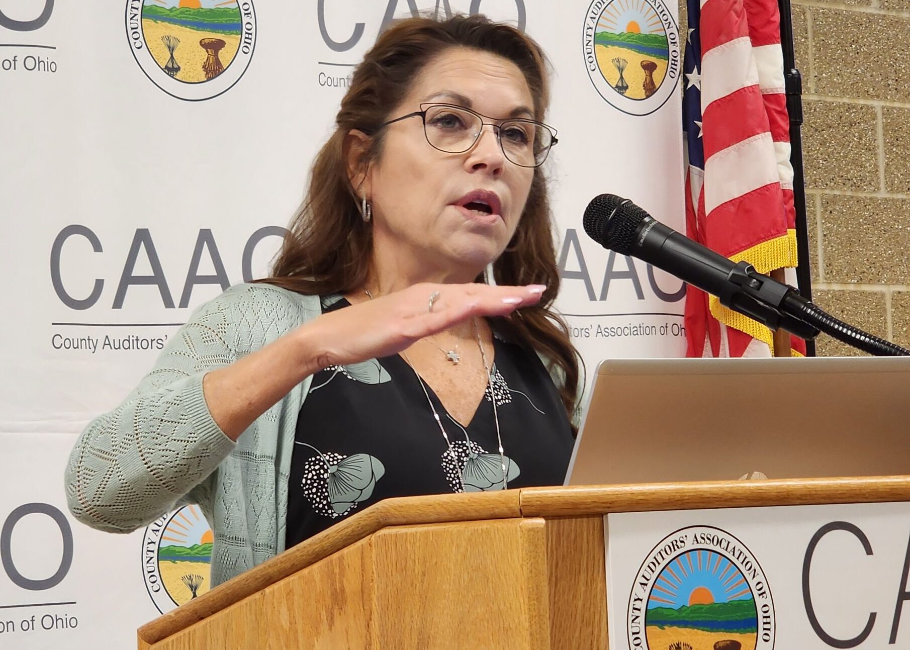 Taxing issue: County auditors tired of taking the heat for legislators ...