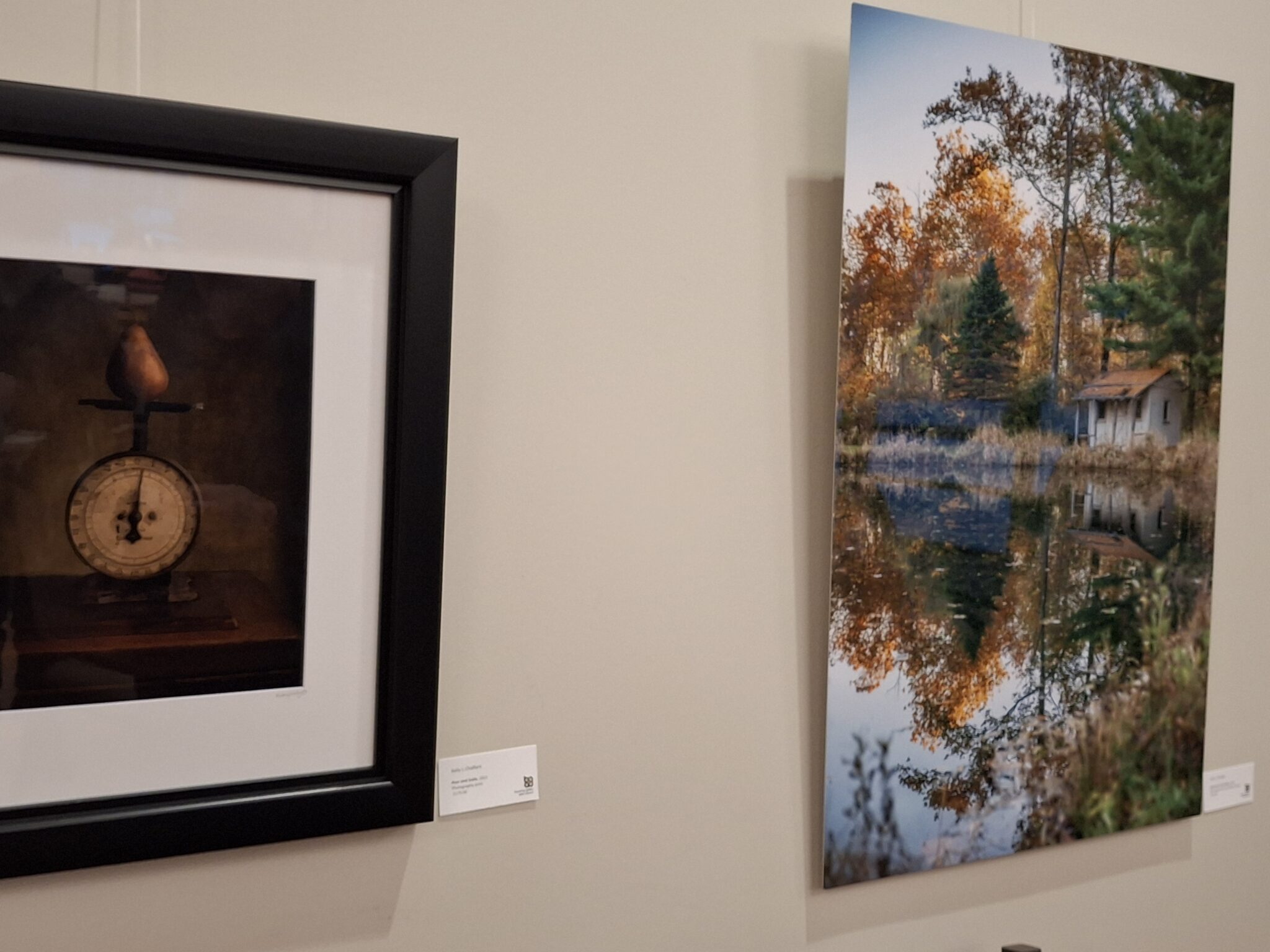 ‘Better Than Ever’ highlights creativity of seniors – BG Independent News