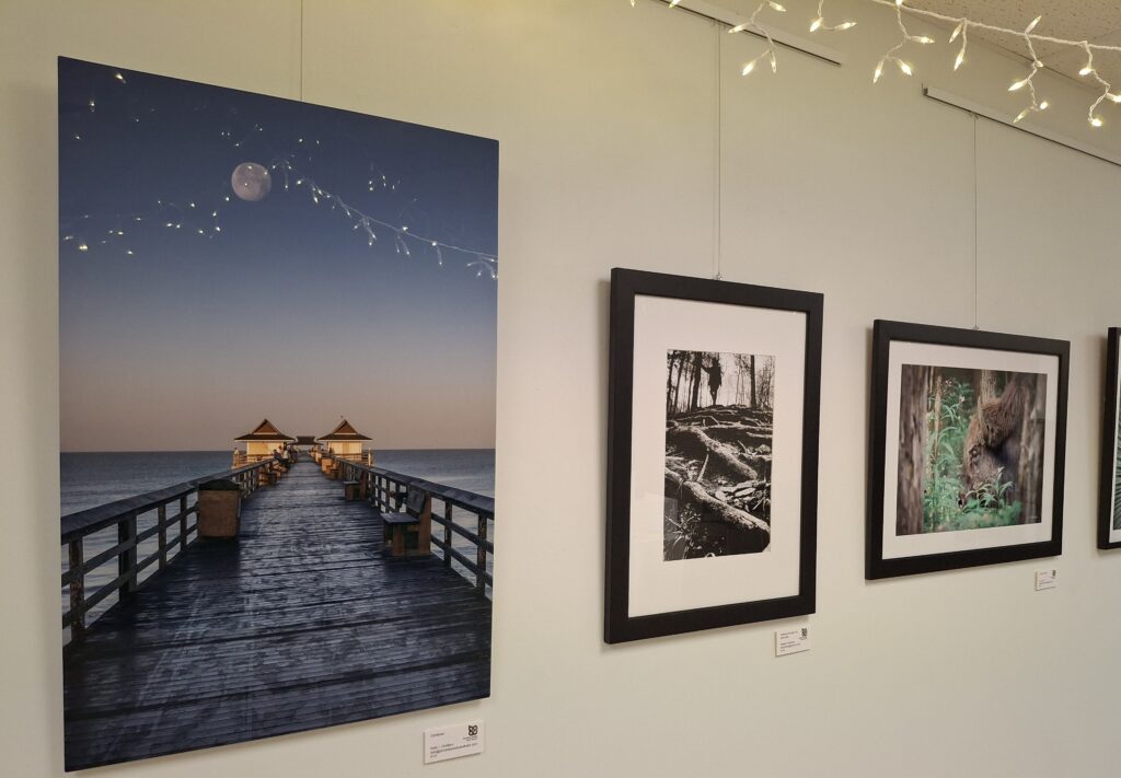 BG Art Council’s ‘Perspective’ frames talents of local photographers ...