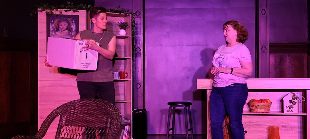 Midlife, meet mayhem: Actors Collaborative Toledo’s ‘The Roommate ...